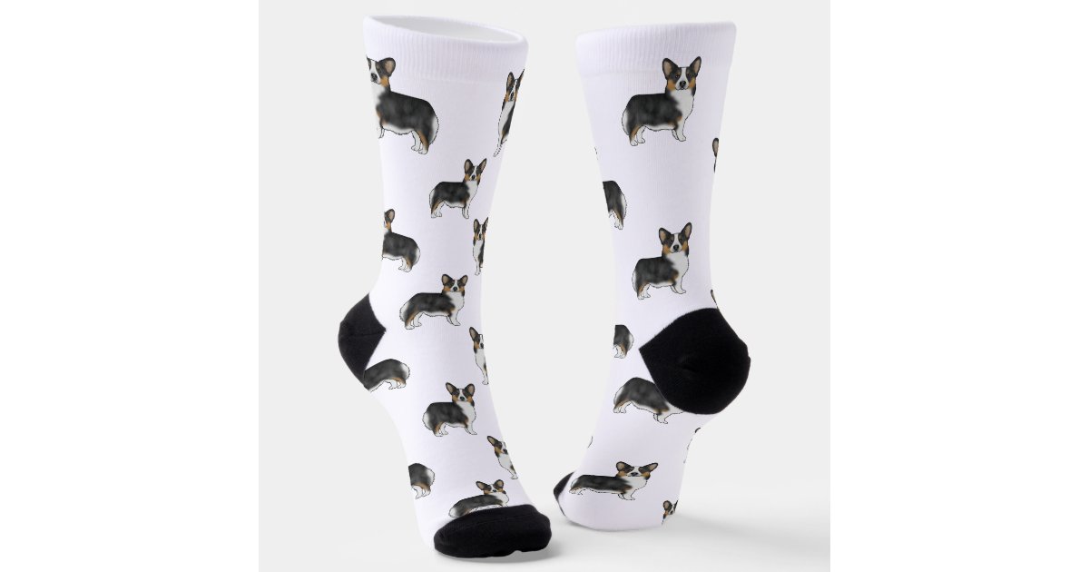 Black Tricolor Pembroke Welsh Corgi Dog Pattern Socks | Zazzle