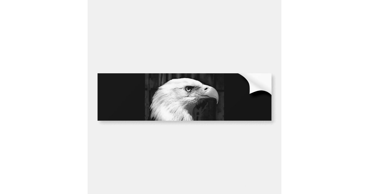 Black & White Bald Eagle Bumper Sticker | Zazzle