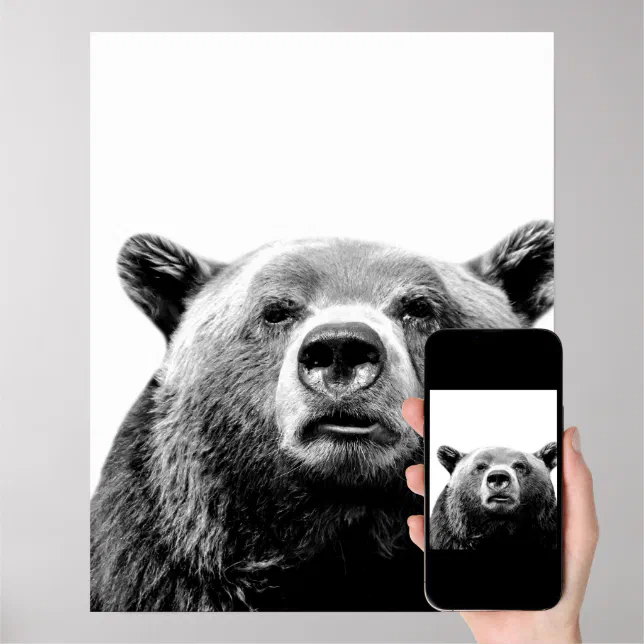 Black white bear woodland animal peekaboo photo poster | Zazzle