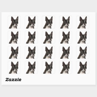 Black & White Boston Terrier Puppy Dog Sticker | Zazzle
