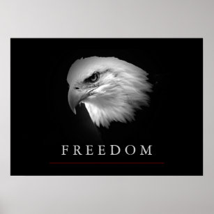 Freedom Eagle Meme Blank