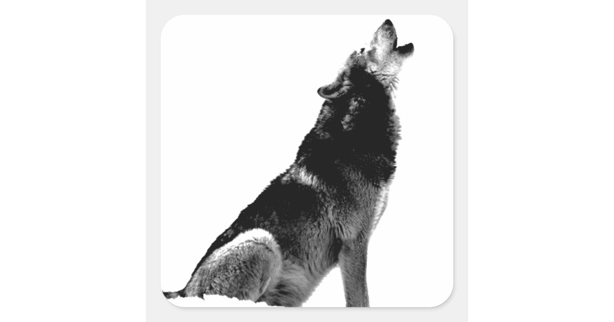 Black White Howling Wolf Square Sticker | Zazzle