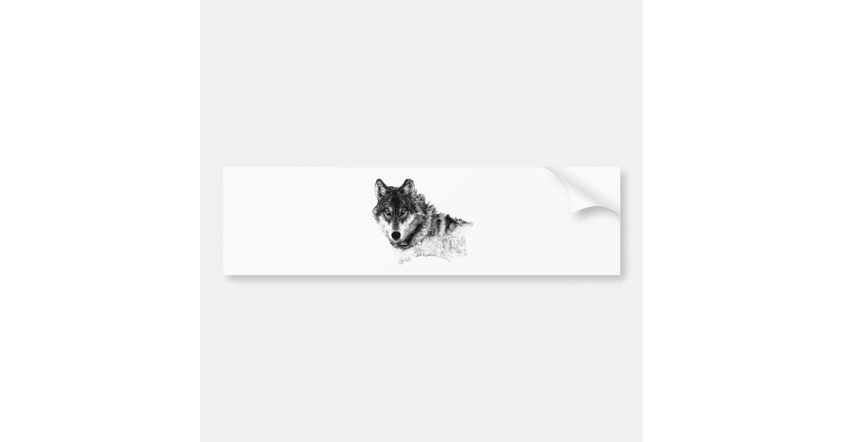 Black White Inspirational Wolf Eyes Bumper Sticker | Zazzle