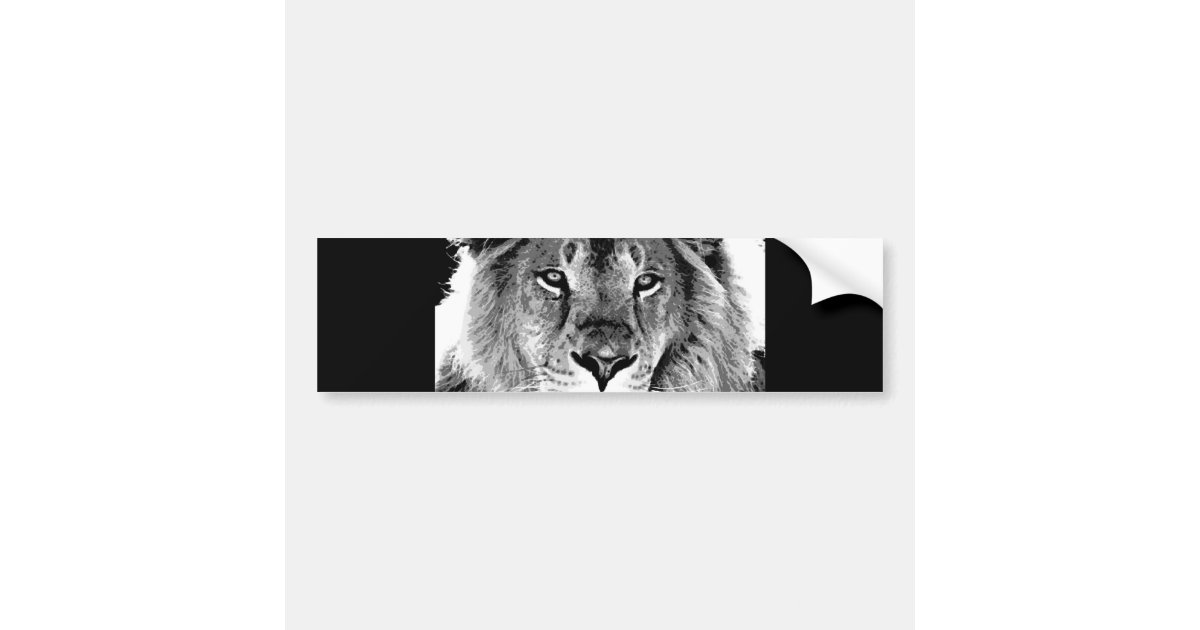 Black & White Lion Bumper Sticker | Zazzle