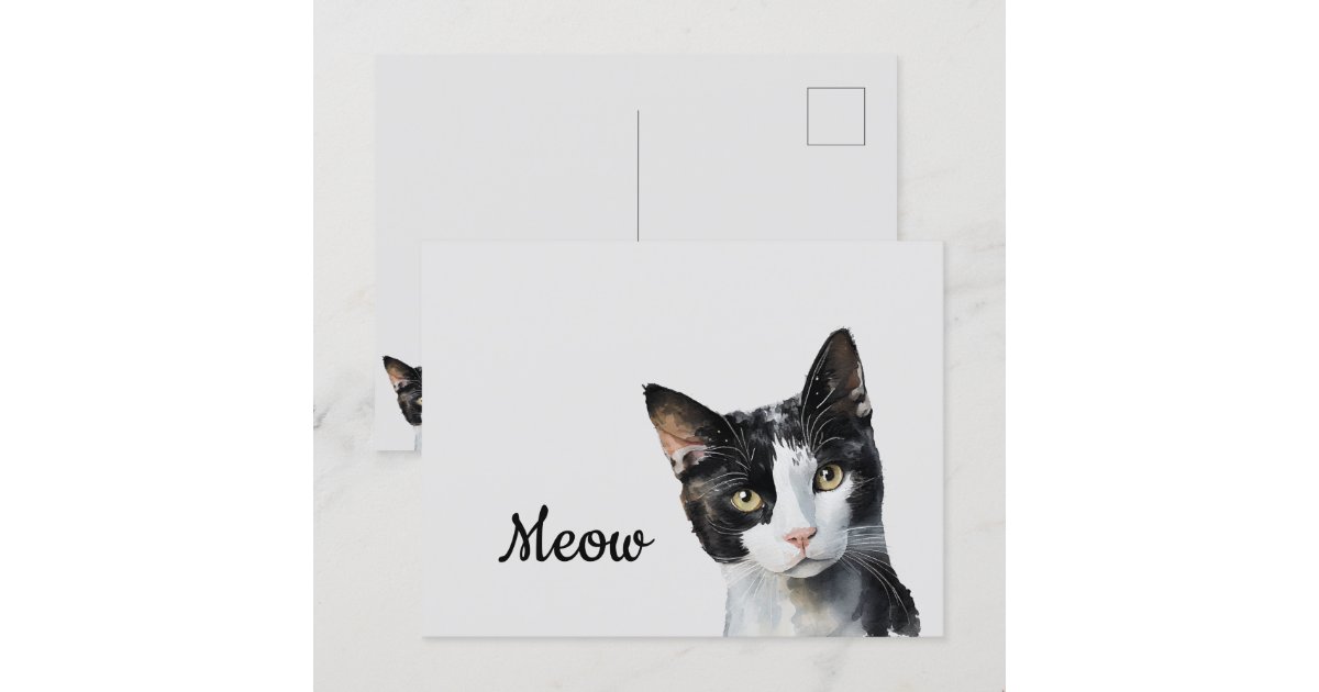 Black White Meow Cat Postcard | Zazzle