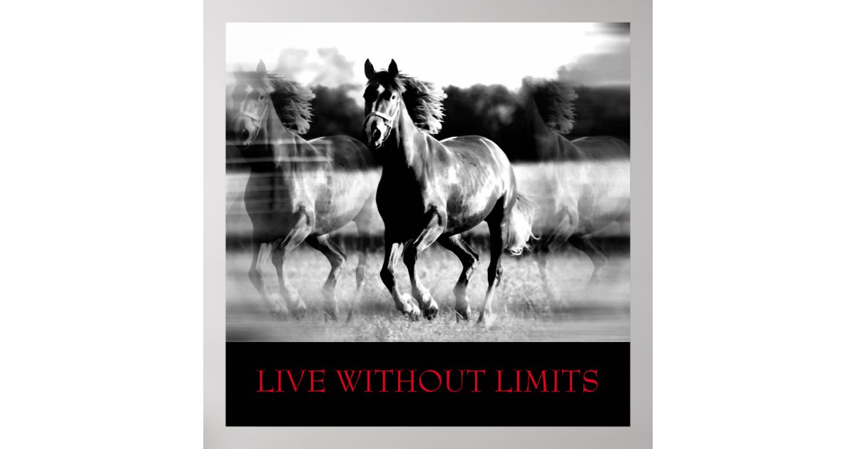 Black White Motivational Horse Live Without Limits Poster | Zazzle