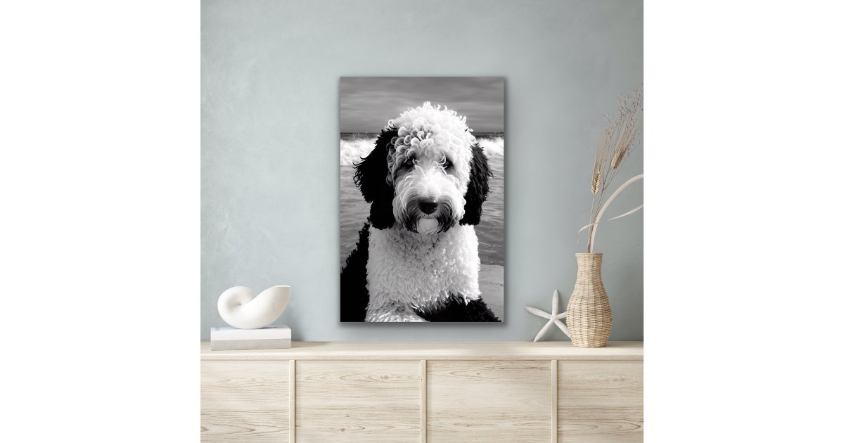 Black & White Sheepadoodle Poster | Zazzle