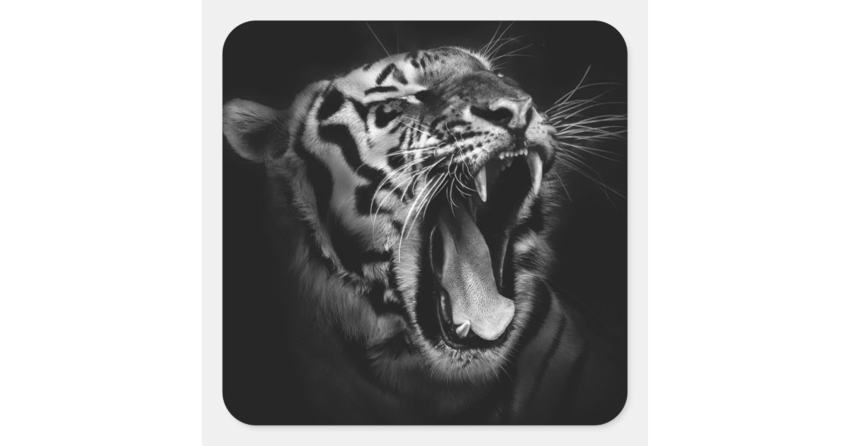 Black & White Tiger Square Sticker | Zazzle