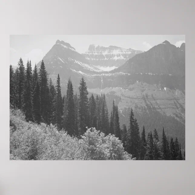 Black & White Trees & Mountains Poster | Zazzle