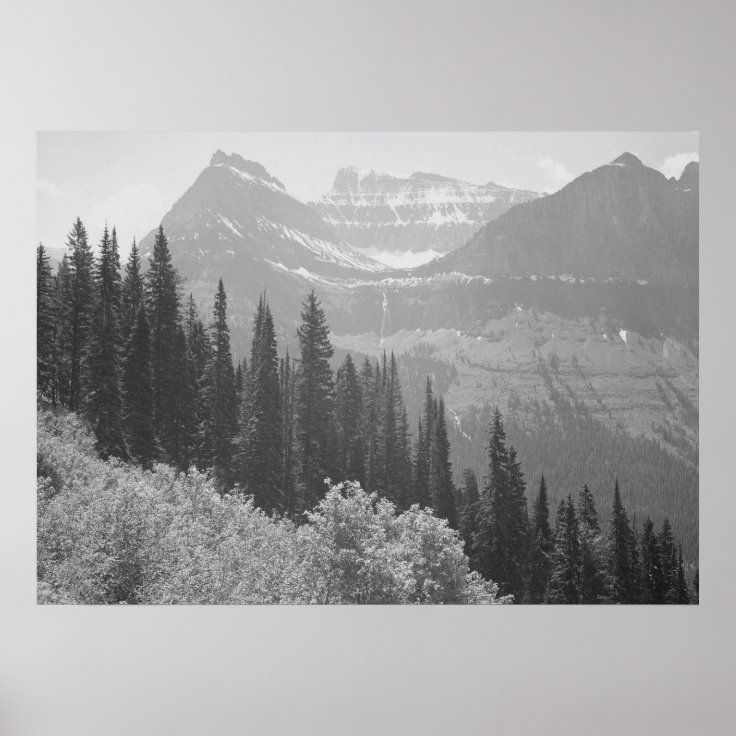 Black & White Trees & Mountains Poster | Zazzle