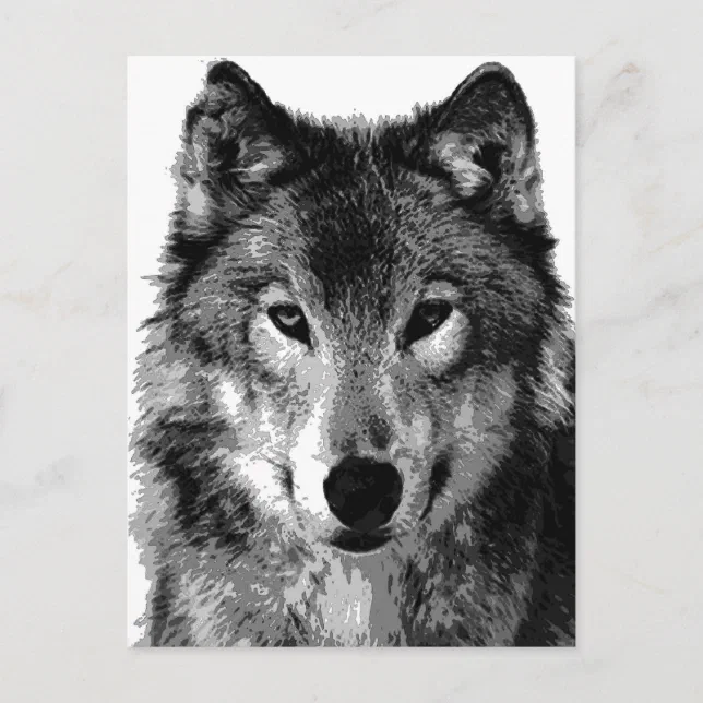 Black & White Wolf Portrait Postcard | Zazzle