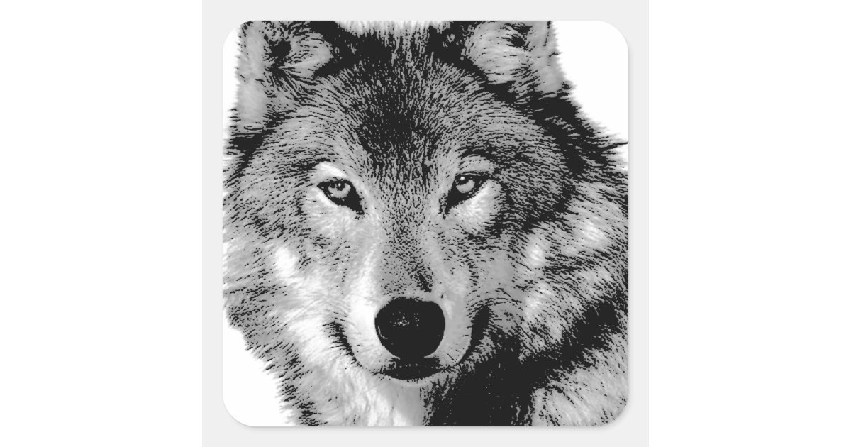 Black & White Wolf Square Sticker | Zazzle