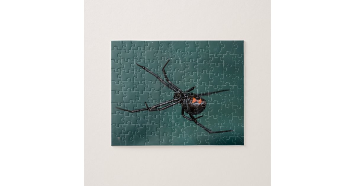 Black Widow Spider Jigsaw Puzzle | Zazzle