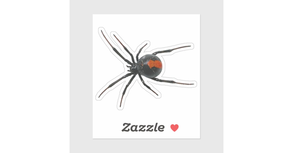Black Widow Spider Sticker | Zazzle