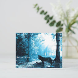 Black Wolf Postcard | Zazzle