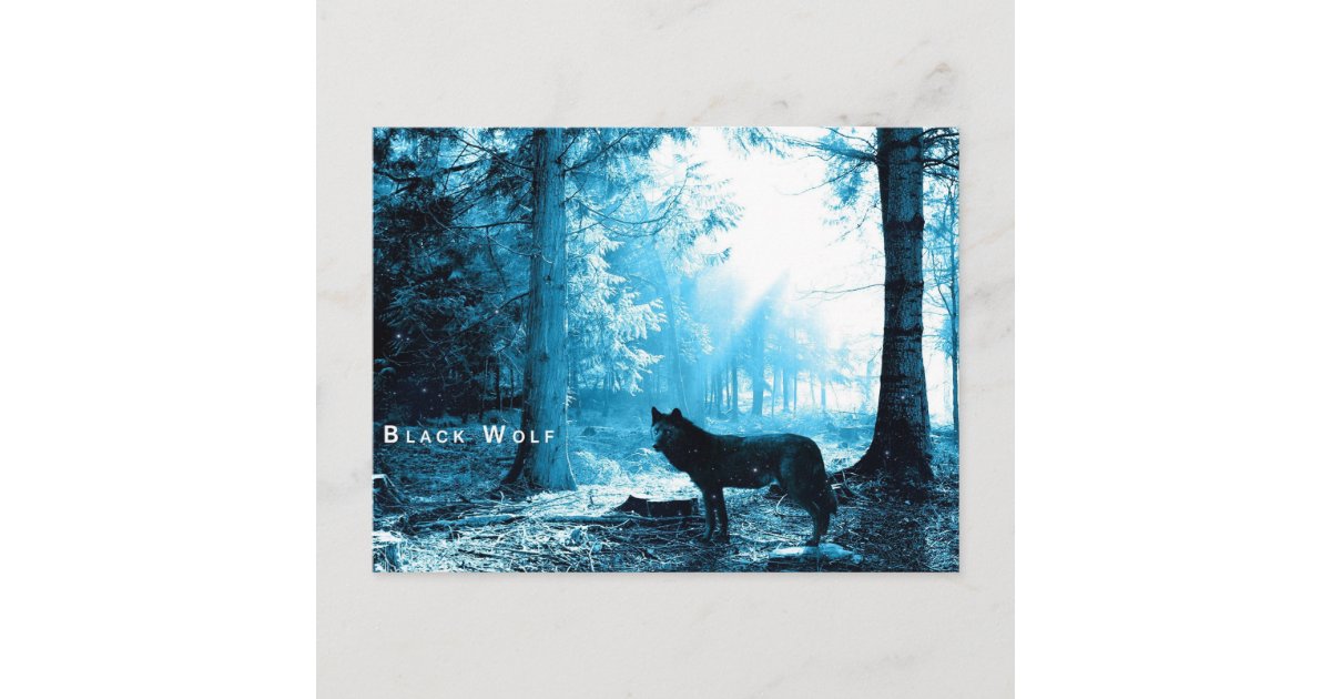 Black Wolf Postcard | Zazzle