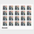 Blackback Gorilla Lope Portrait Square Sticker | Zazzle