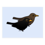 Cute Blackbird by Birdorable