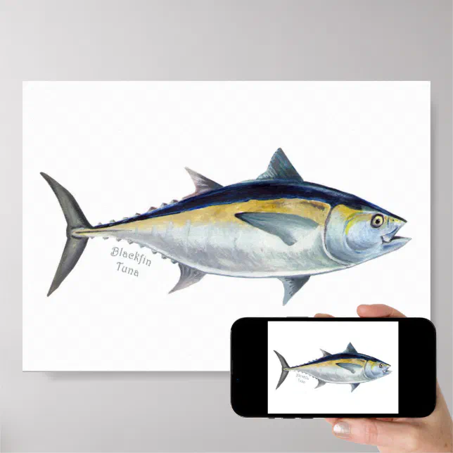 Blackfin Tuna fish poster. Poster | Zazzle