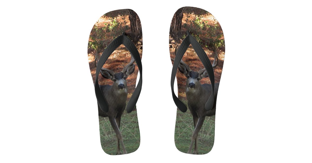 Blacktail Buck Flip Flops | Zazzle