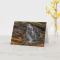 Blackwater Falls State Park Card | Zazzle