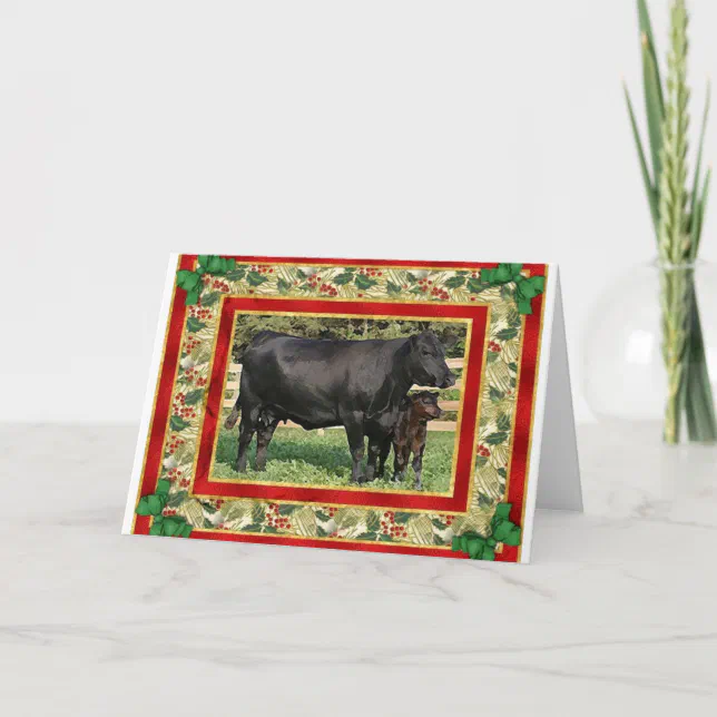 Blank Angus Cow And Calf Blank Christmas Card | Zazzle