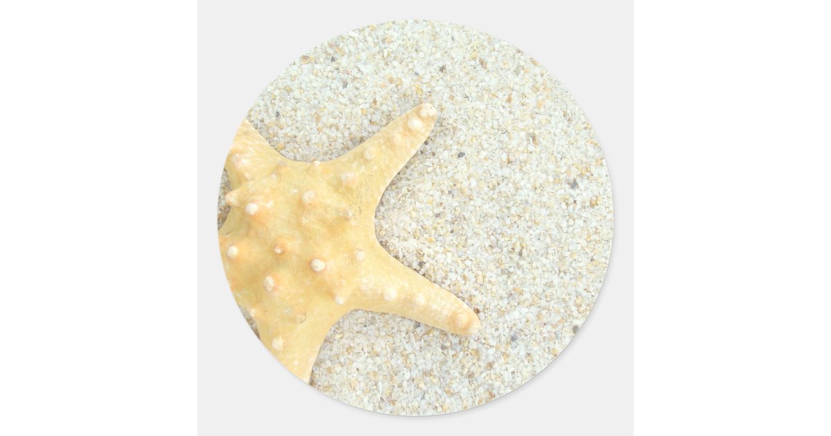 Blank Beach Theme Stickers 001 | Zazzle