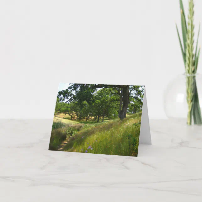 Blank Card, Scenic Card | Zazzle