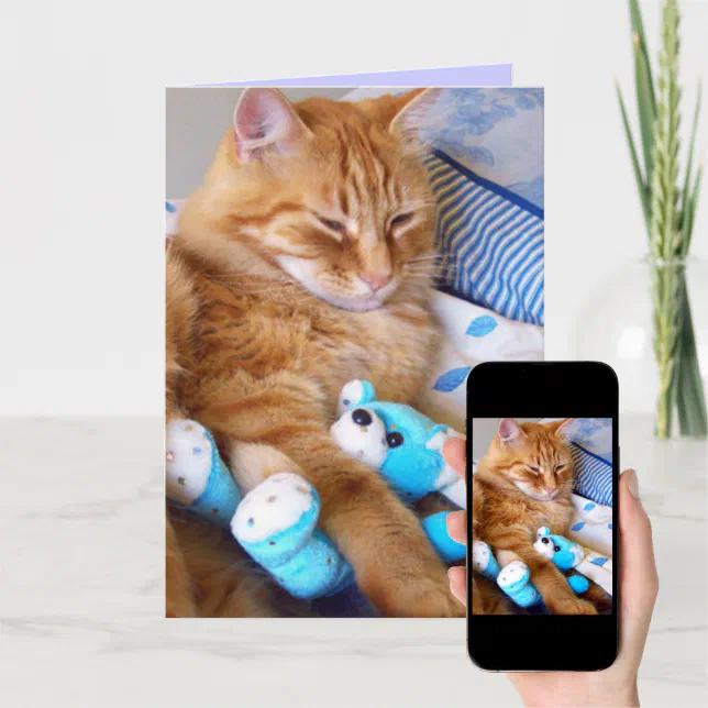 Blank Cat Cards | Zazzle