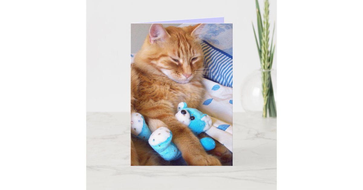 Blank Cat Cards | Zazzle