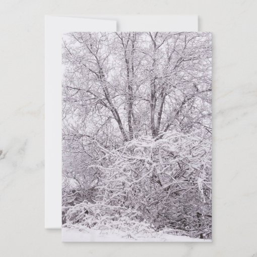 Blank Winter Scene Holiday Card | Zazzle