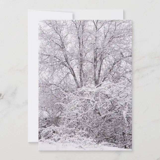 Blank Winter Scene Holiday Card | Zazzle