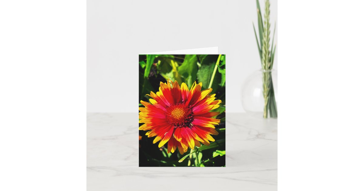 Blanket Flower Note Card | Zazzle
