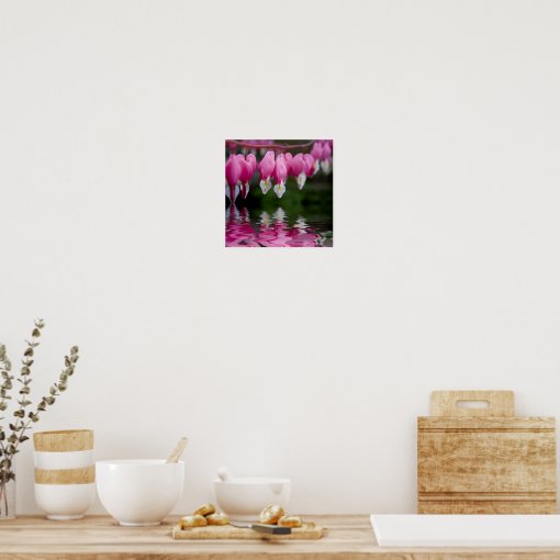 bleeding heart flower poster | Zazzle
