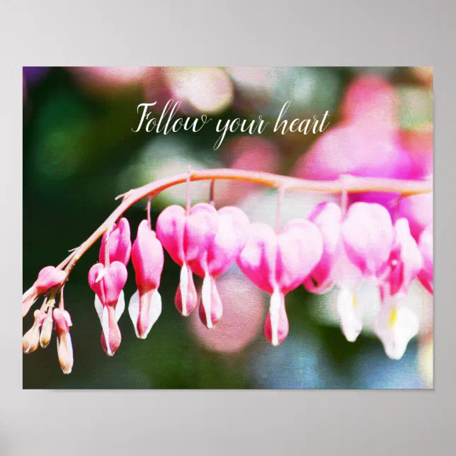 Bleeding Hearts Flowers Poster | Zazzle