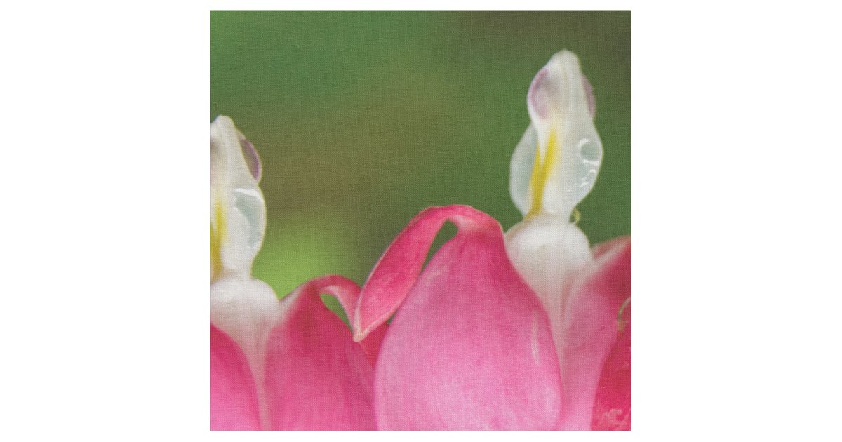 Bleeding Hearts in the Rain Fabric | Zazzle