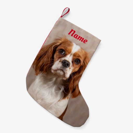 Blenheim Cavalier King Charles Spaniel Dog Small Christmas Stocking ...