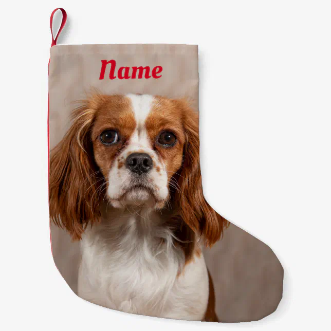 Blenheim Cavalier King Charles Spaniel Dog Small Christmas Stocking ...