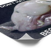 blobfish1 poster | Zazzle