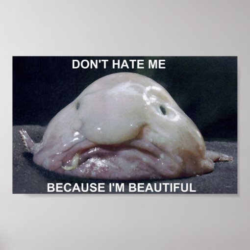 blobfish1 poster | Zazzle