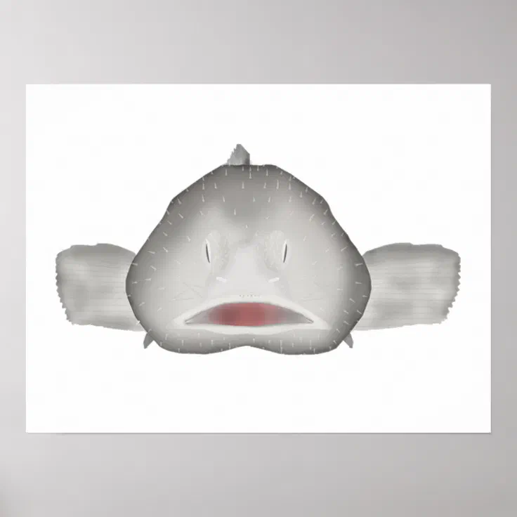 Blobfish Poster | Zazzle