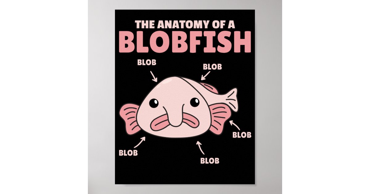 Blobfish Statement Anatomy Of Blobfish Poster | Zazzle
