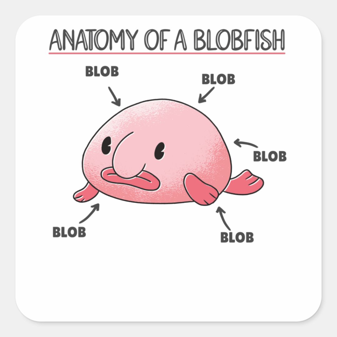 Blobfish Statement Anatomy Of Blobfish Square Sticker | Zazzle