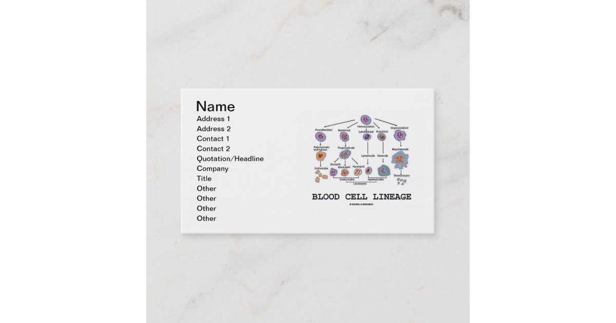 Blood Cell Lineage (Hematology) Business Card | Zazzle