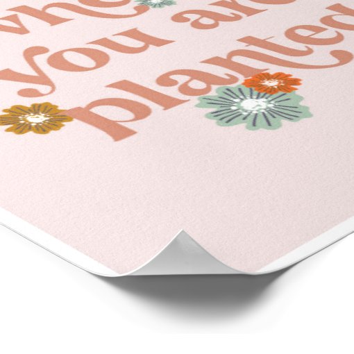 Bloom where you are planted flowers poster | Zazzle