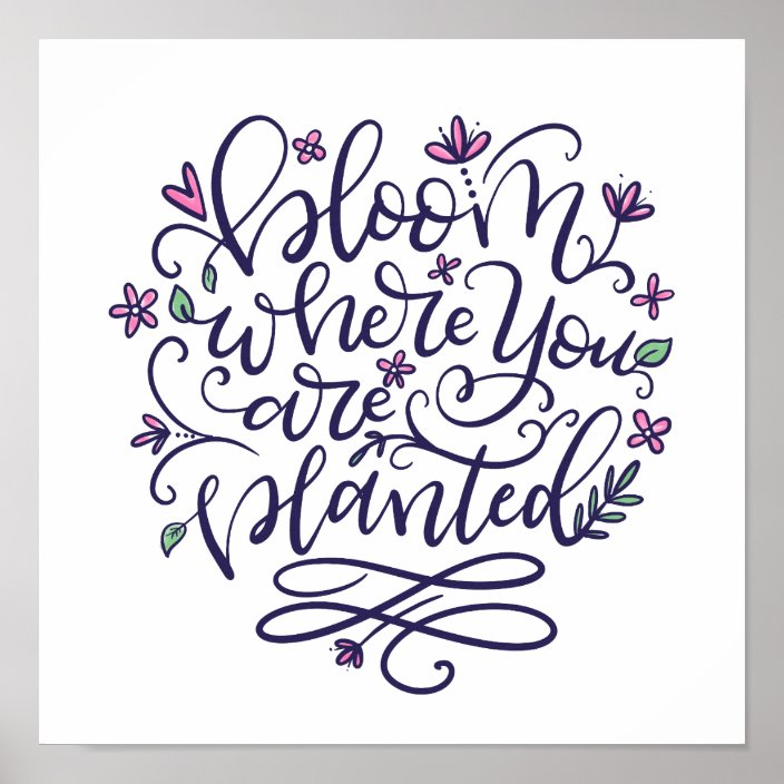 Bloom where you are planted, hand lettering poster | Zazzle.com