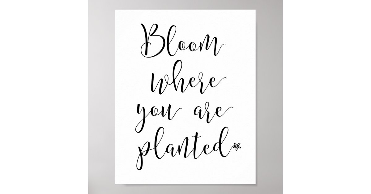 Bloom where you are planted Poster | Zazzle