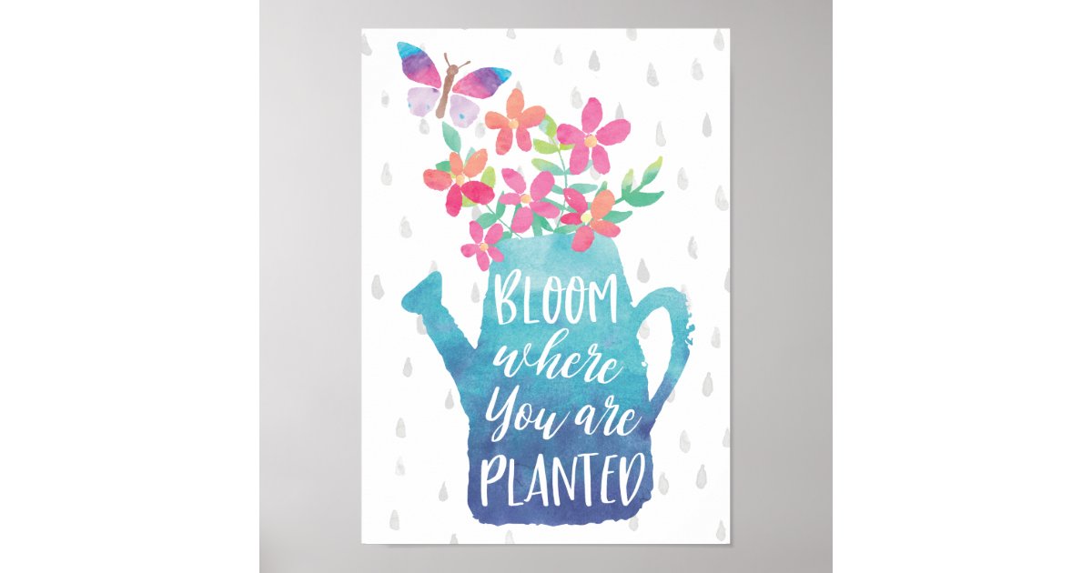 Bloom Where You Are Planted Poster | Zazzle