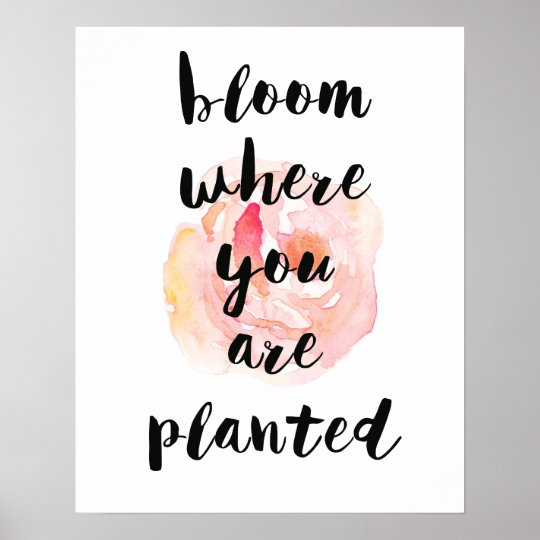 Bloom Where You Are Planted Watercolor Rose Poster | Zazzle.com