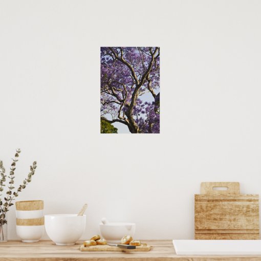 Blooming Jacaranda Trees in New Farm Park, Poster | Zazzle